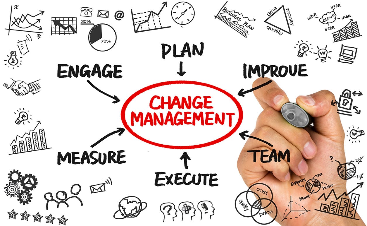 Managing Change in the Workplace - 7 Tips - Ignite Your Potential